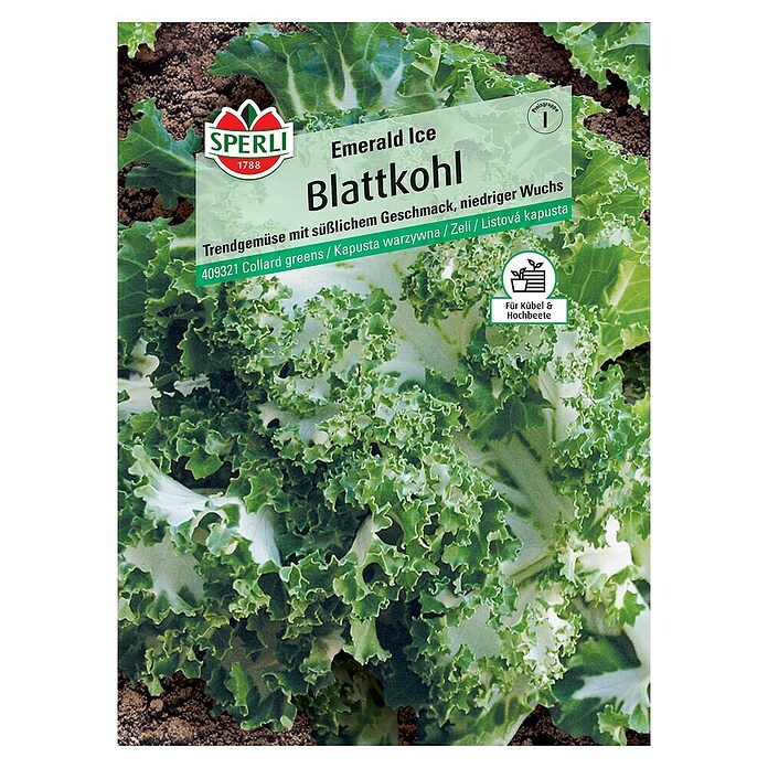 Sperli Gemüsesamen Blattkohl (Brassica oleracea var. sabellica ...