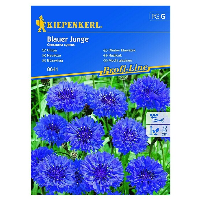 Kiepenkerl Sjeme cvijeća Različak Blauer Junge (Centaurea cyanus, Plava) | BAUHAUS