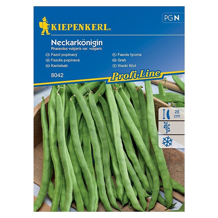 Kiepenkerl Sjeme povrća grah visoki Neckarkönigin (Phaseolus vulgaris ...