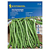 Kiepenkerl Sjeme povrća grah visoki Neckarkönigin (Phaseolus vulgaris ...