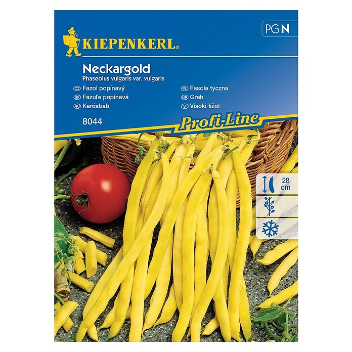 Kiepenkerl Sjeme povrća grah visoki Neckargold (Phaseolus vulgaris var ...