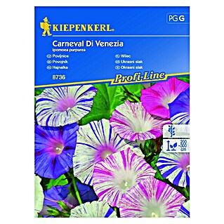 Sjeme za cvijeće | BAUHAUS