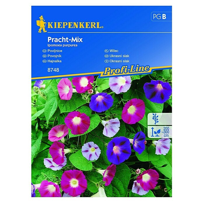 Kiepenkerl Sjeme cvijeća Ukrasni slak Pracht Mix (Ipomoea purpurea ...