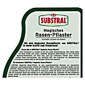 Substral Rasen-Reparatur (1 kg, 5 m²) | BAUHAUS