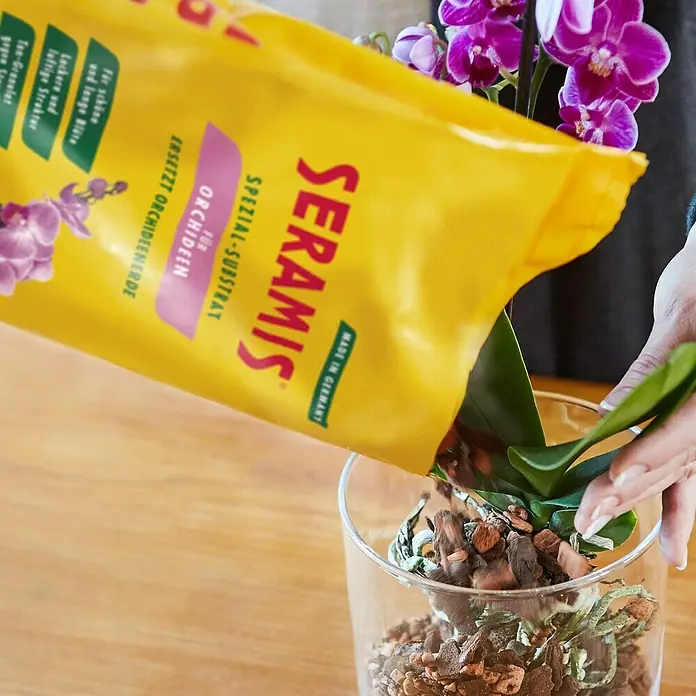 Seramis Orchideen-Granulat - 7 l online kaufen bei BAUHAUS