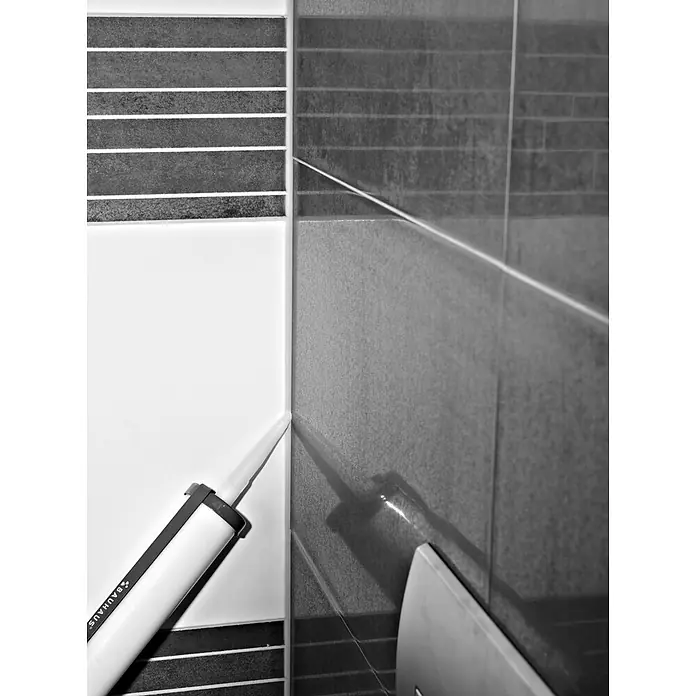 Probau eco Sanitär-Silikon kaufen