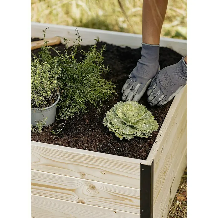 Upyard Hochbeet Gardenbox I-Box - 120 x 80 x 40 cm, Holz, Natur online ...