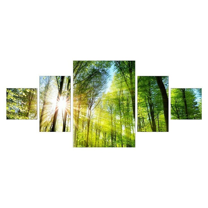 ProArt Young Living Leinwandbild 5 Teiler Forest II B X H 150 X 70 ProArt Young Living Leinwandbild 5 Teiler Forest II B X H 150 X 70