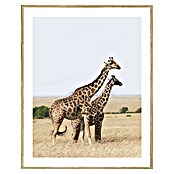 Cuadro Jirafas (An x Al: 40 x 50 cm, 1 pzs.) | BAUHAUS