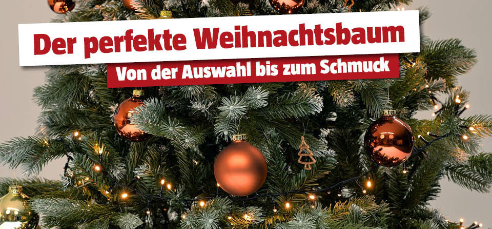 Der perfekte Weihnachtsbaum | BAUHAUS Österreich