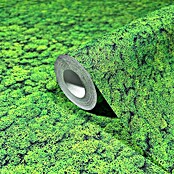 Marburg GZSZ Vliestapete Mooswand (Hellgrün, Floral, 10,05 x 0,53 m ...