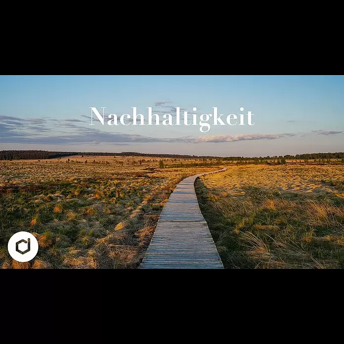 Nmc Decoflair Zierprofil Deckenleiste D1 kaufen