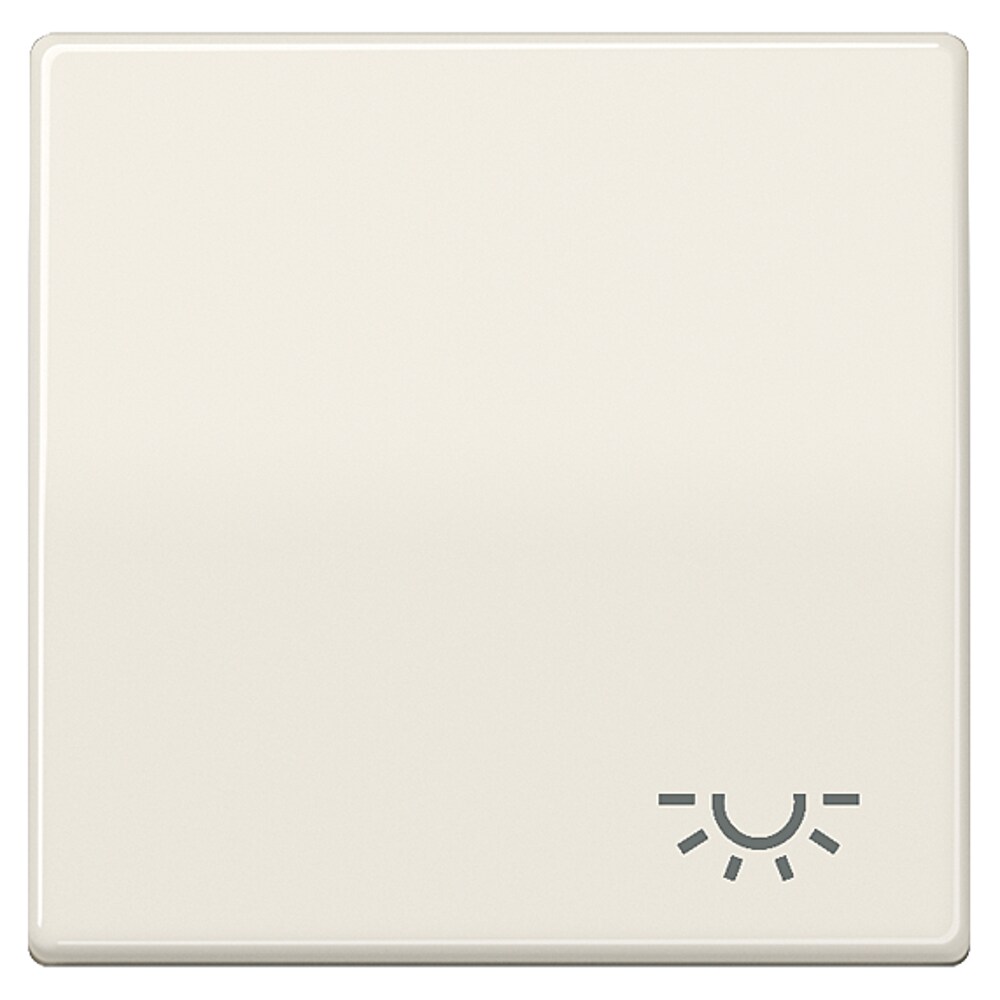 Jung AS 500 Universalwippe AS591L kaufen