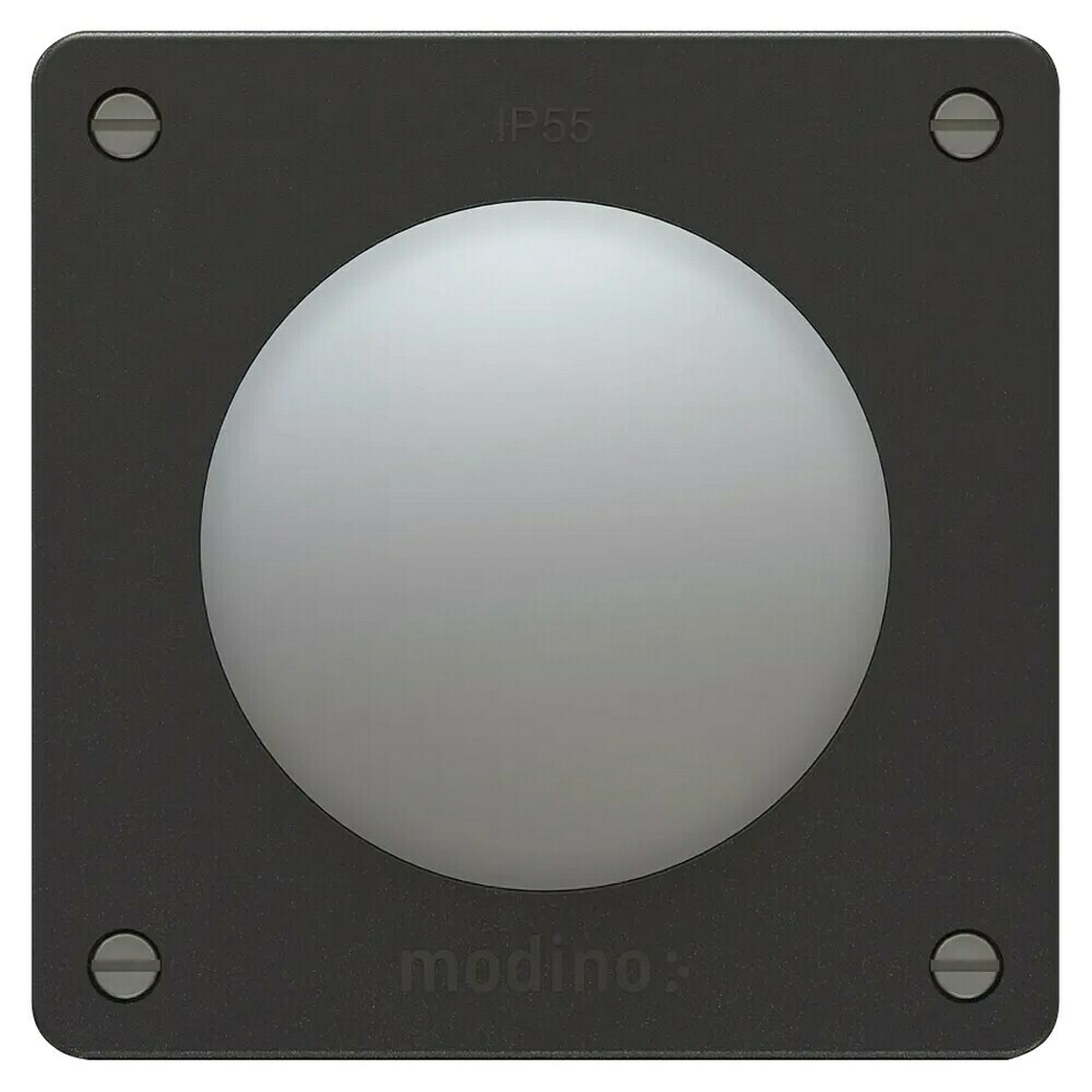 Max Hauri Interrupteur kaufen