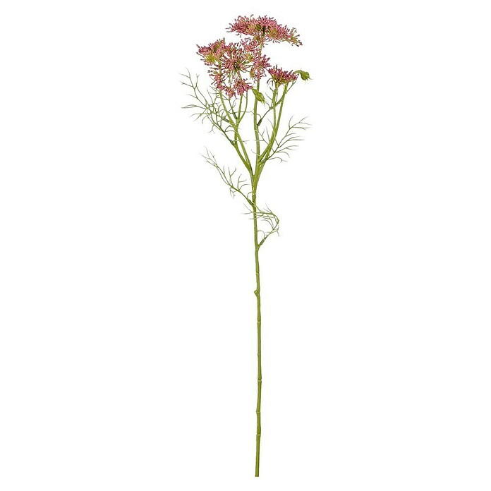 Planta artificial Daucus Carota (Altura: 61 cm, Fucsia, Plástico) | BAUHAUS