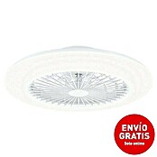 Philips Ventilador de techo Amigo (60 W, Diámetro: 57,7 cm) | BAUHAUS