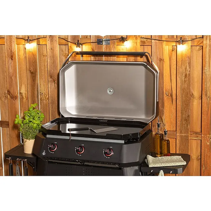 Cozze Plancha-Grill 800 online kaufen bei BAUHAUS