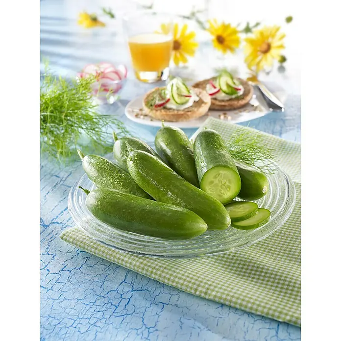 Kiepenkerl Snack-Gurke kaufen