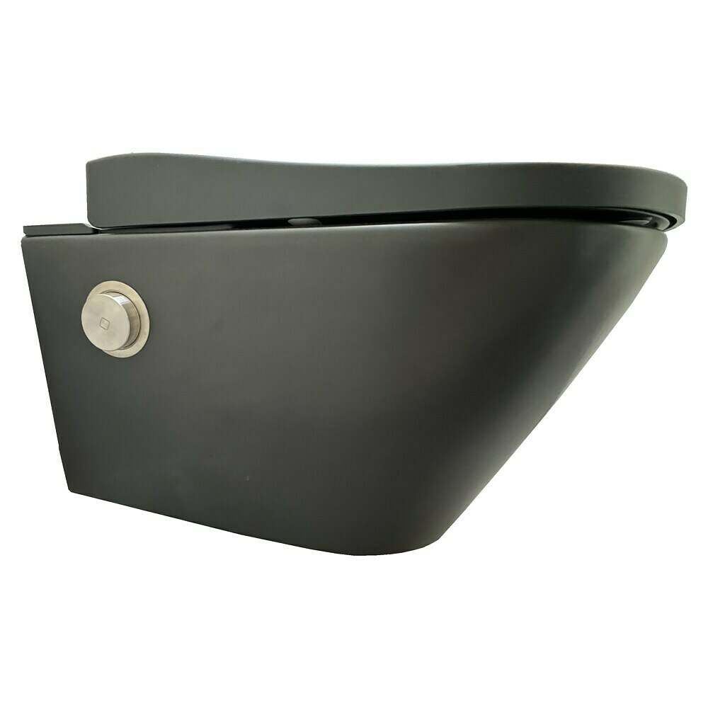 Wand-Dusch-WC Pro 3.0 kaufen