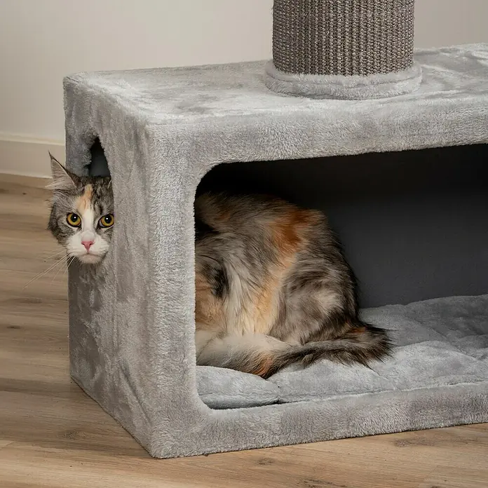 Dobar Kratzbaum Cozy online kaufen bei BAUHAUS