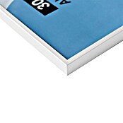 Aluminijski okvir (Bijela, Format slike: DIN A4) | BAUHAUS