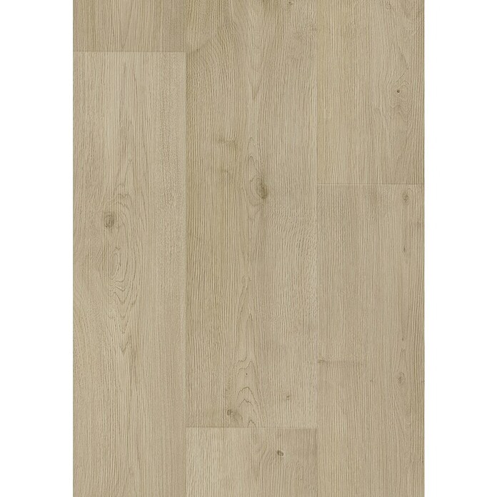 Gerflor PVC-Boden Meterware Booster Sherwood (400 cm, Nature) | BAUHAUS