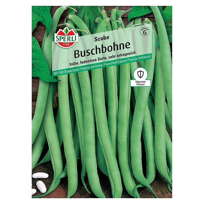 Gemüsesamen Buschbohnen Scuba (Phaseolus vulgaris 'Scuba') | BAUHAUS