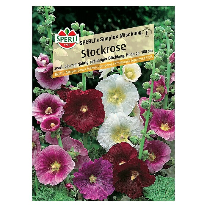 Sperli Blumensamen Stockrose Simplex Mischung (Alcea rosea, Mehrfarbig ...
