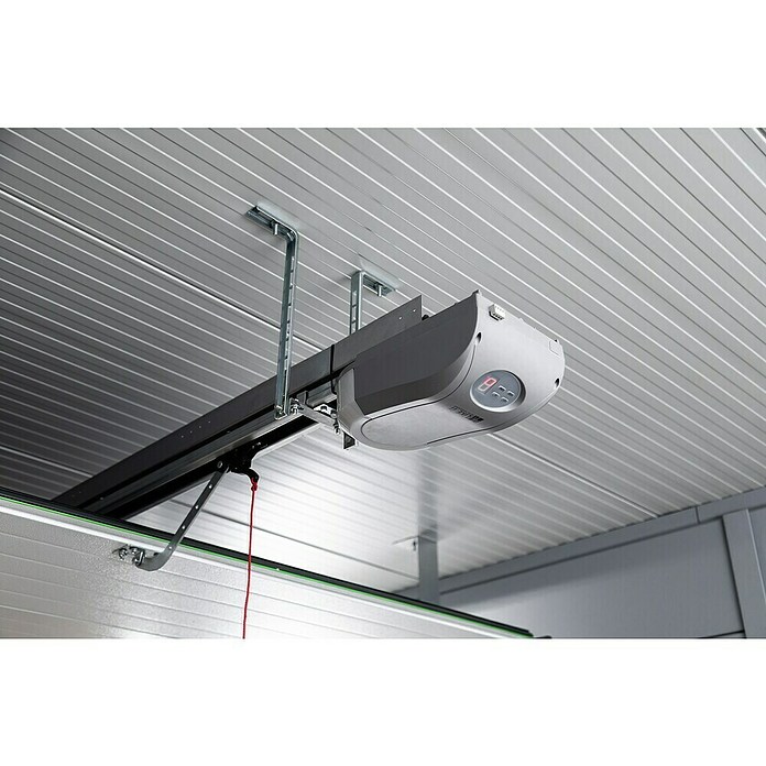 Telluria Garage Classico 3663G (Außenmaß inkl. Dachüberstand (B x T ...