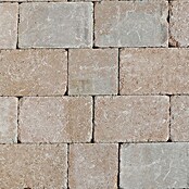 Pflasterstein Times (Sandstein, 20 x 30 x 7 cm, Rechteckig) | BAUHAUS
