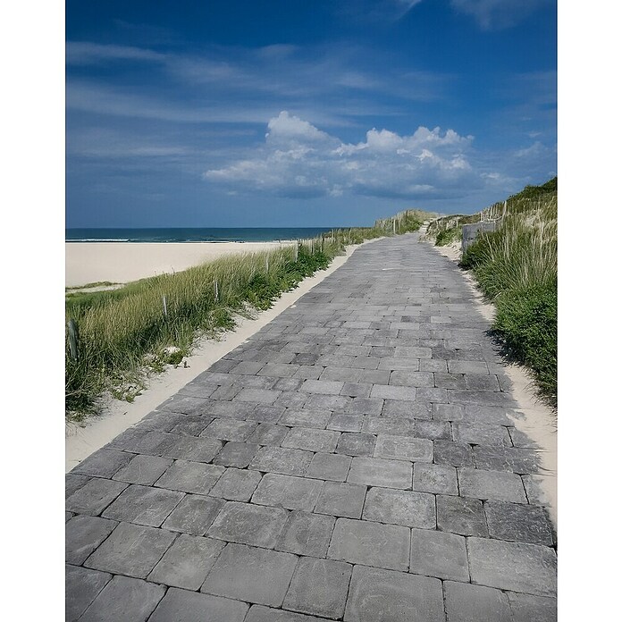 Pflasterstein Times (Anthrazit, 20 x 30 x 7 cm, Rechteckig) | BAUHAUS