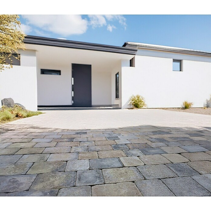 Pflasterstein Times (Muschelkalk, 20 x 30 x 7 cm, Rechteckig) | BAUHAUS