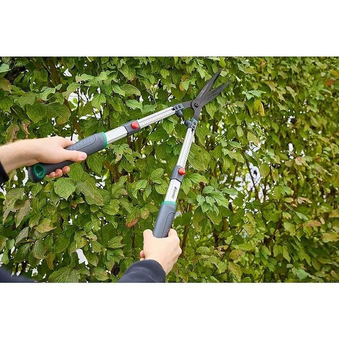 Gardol Premium Hand-Heckenschere GDH655 - Länge: 3,9 cm, Silber ...