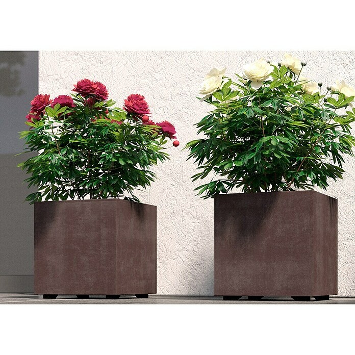 Deroma Millennium Pflanzkübel eckig (L x B x H: 25 x 25 x 25 cm ...