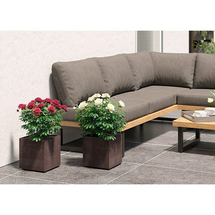 Deroma Millennium Pflanzkübel eckig (L x B x H: 25 x 25 x 25 cm ...