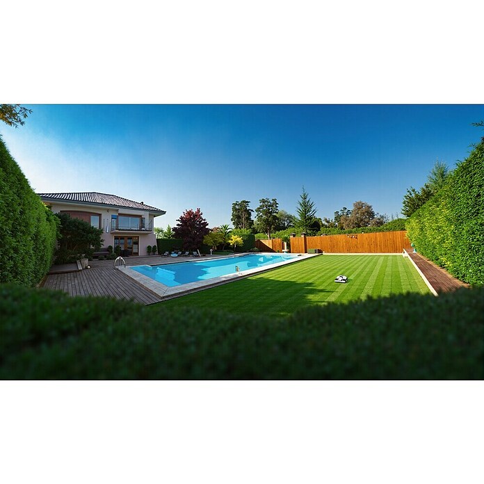 Mammotion Mähroboter Luba Mini AWD 800 (800 m², Schnittbreite: 200 mm ...