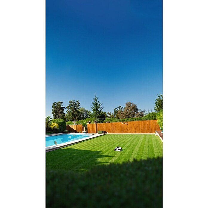 Mammotion Mähroboter Luba Mini AWD 800 (800 m², Schnittbreite: 200 mm ...