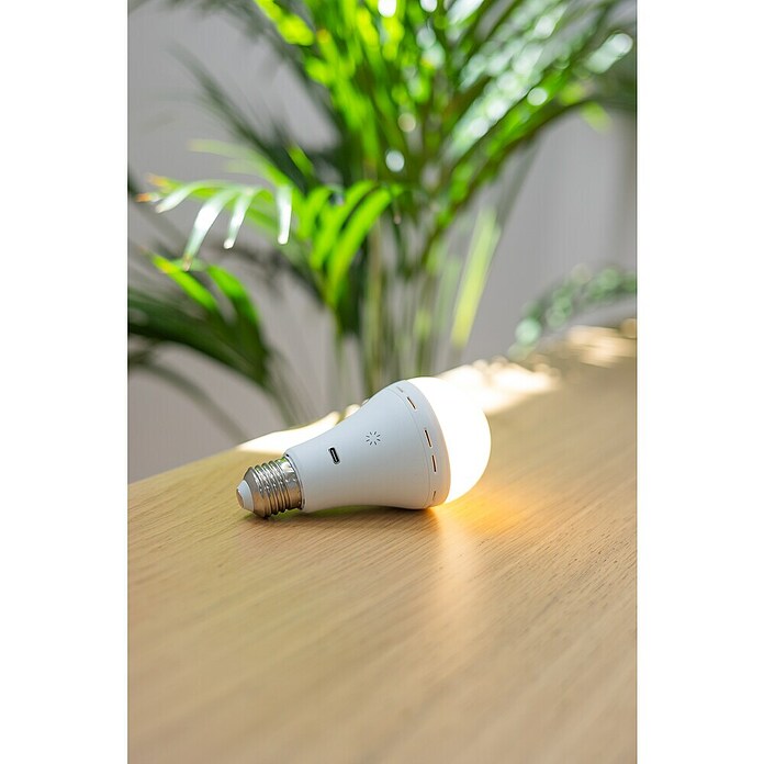New Garden Bombilla LED recargable Lapera (E27, Intensidad regulable ...