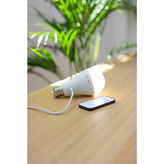New Garden Bombilla LED recargable Lapera (E27, Intensidad regulable ...