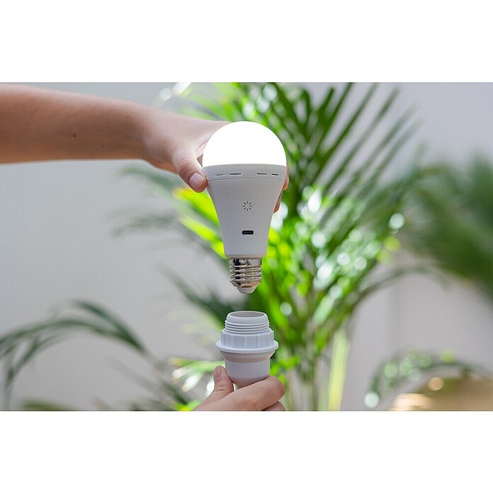 New Garden Bombilla LED recargable Lapera (E27, Intensidad regulable ...