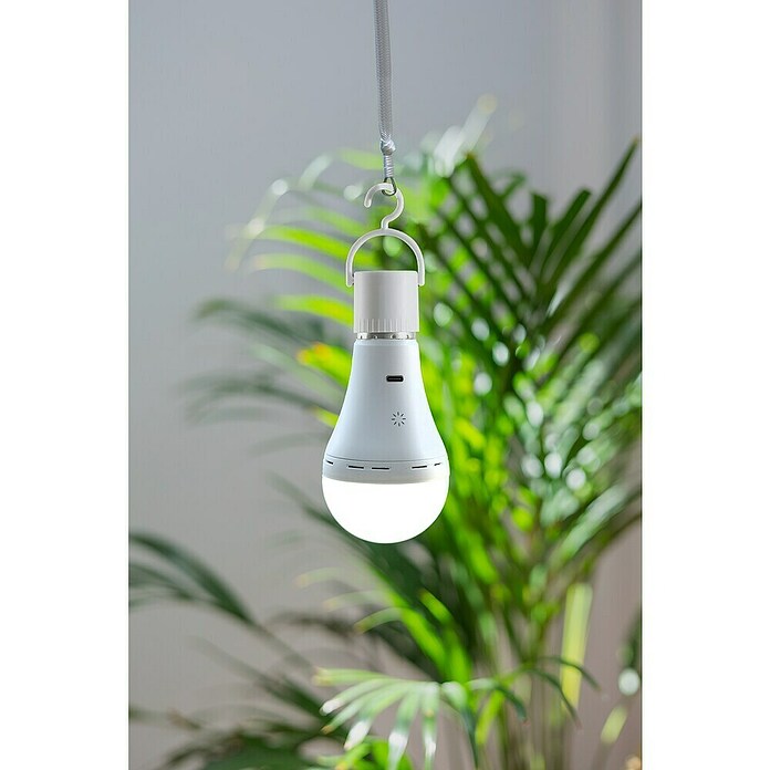 New Garden Bombilla LED recargable Lapera (E27, Intensidad regulable ...
