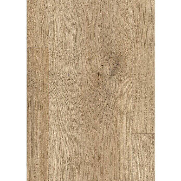 Egger Laminaat sample Messina Natural Eiken (297 x 193 x 7,5 mm ...