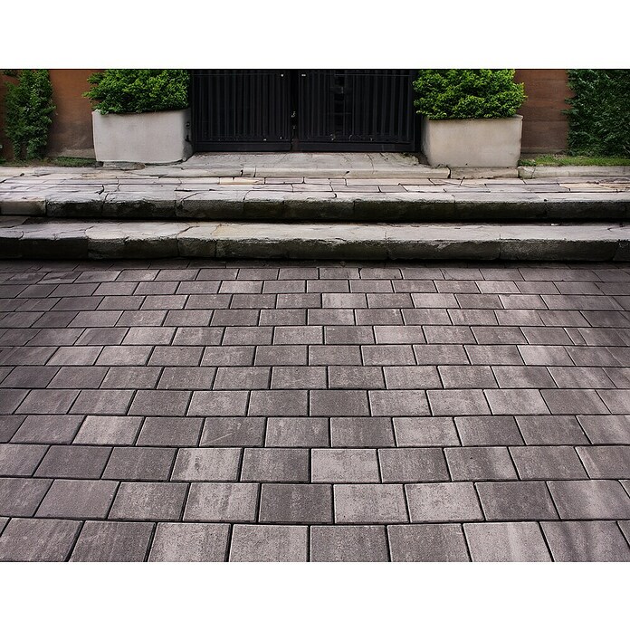 Seesteiner Pflasterstein Modern Öko () | BAUHAUS