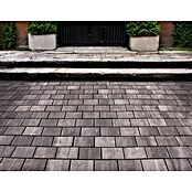 Seesteiner Pflasterstein Modern Öko (Anthrazit-schattiert, L x B: 24 x ...