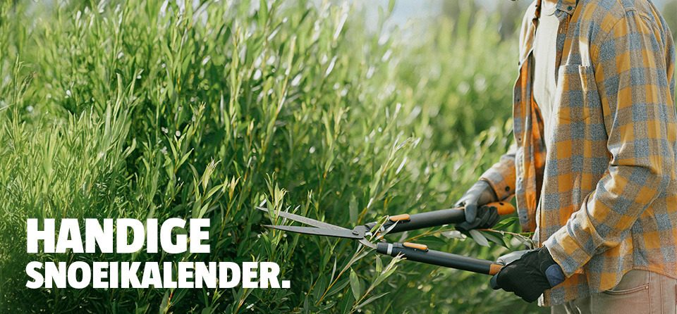 Snoeikalender BAUHAUS | BAUHAUS