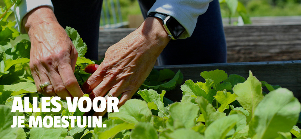 Alles voor je moestuin | BAUHAUS