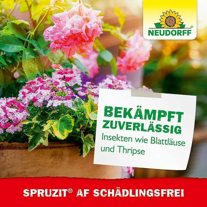 Neudorff Spruzit Schädlingsfrei - 500 ml, Anwendungsfertig online ...