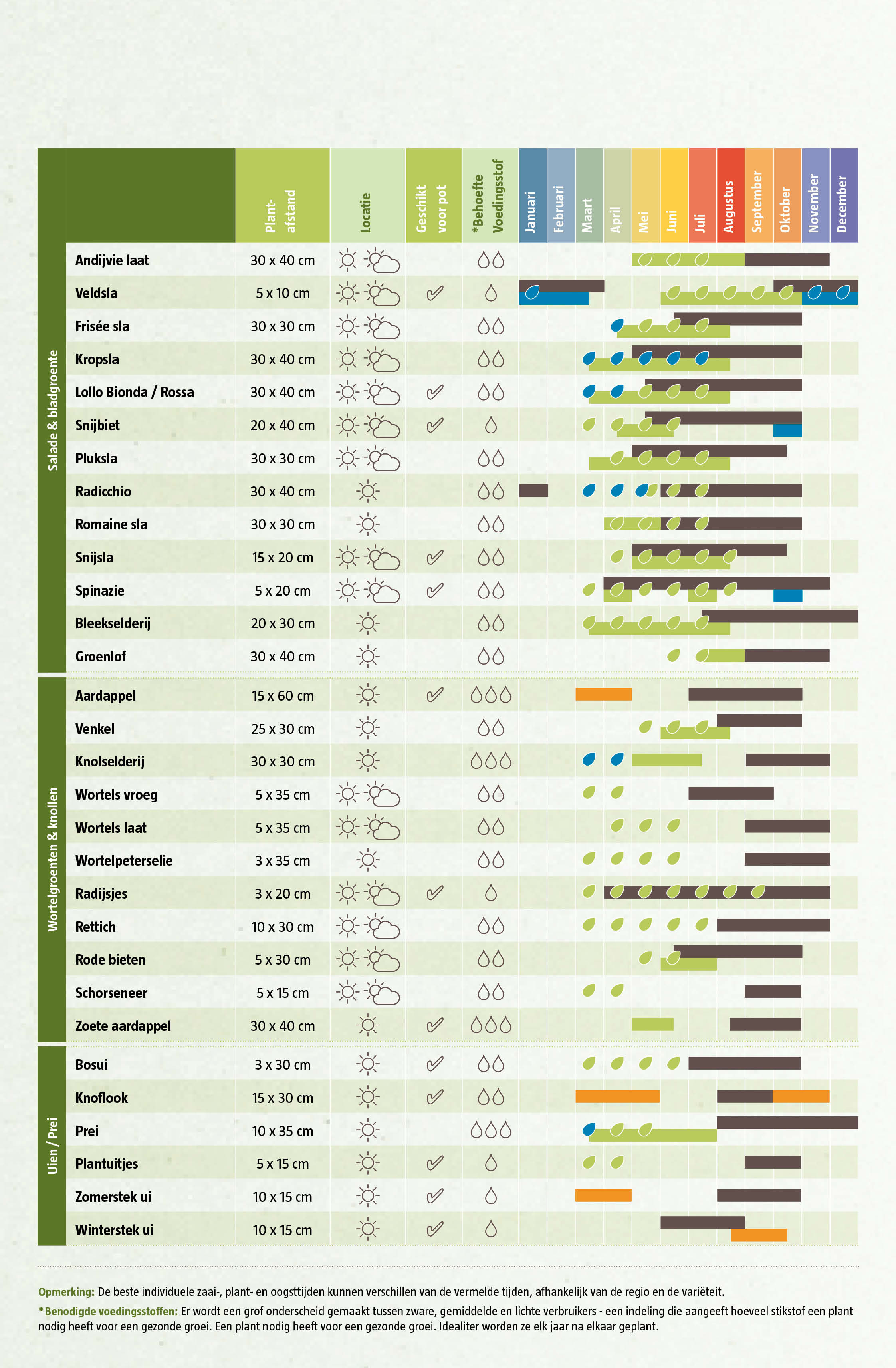Groente zaai- en oogstkalender | BAUHAUS