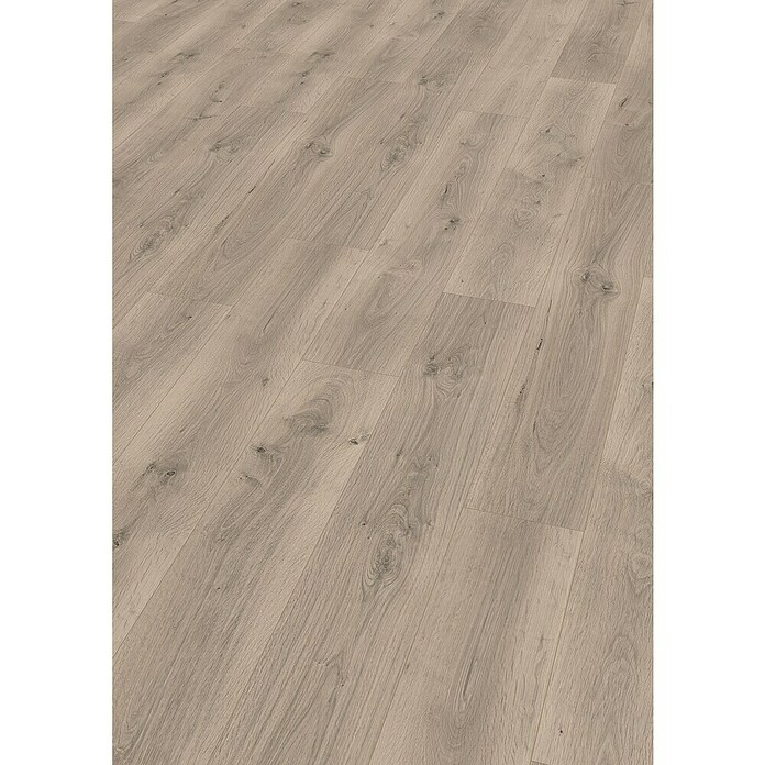 Egger Laminat NatureSense Aqua Pinot svijetlo sivi hrast EL2112 (1.292 ...