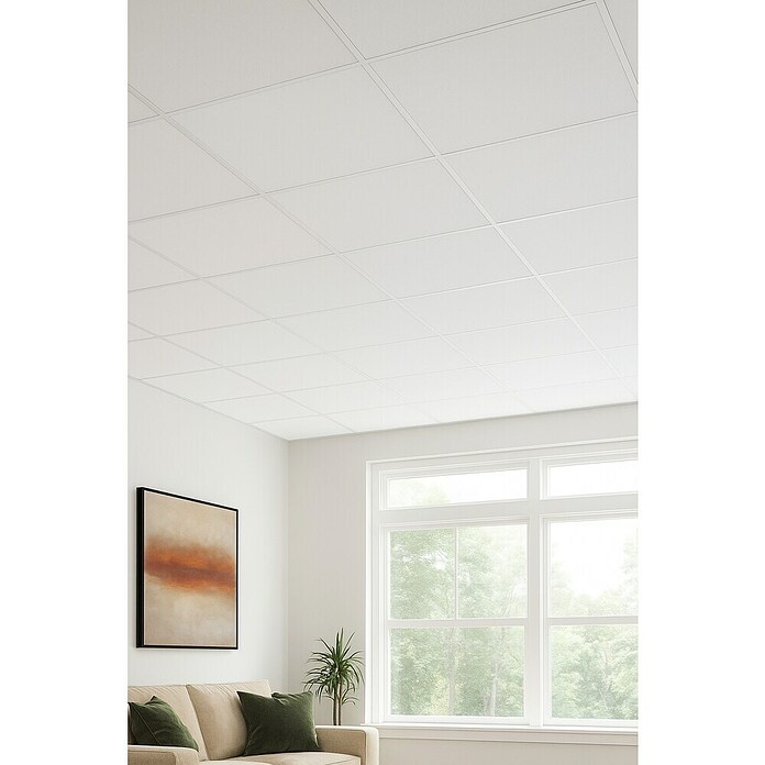 Placas De Techo Modulares